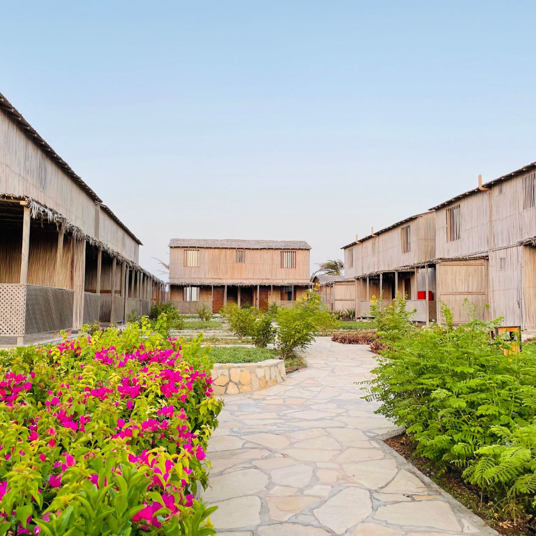 About Us – Turtle Beach Resort